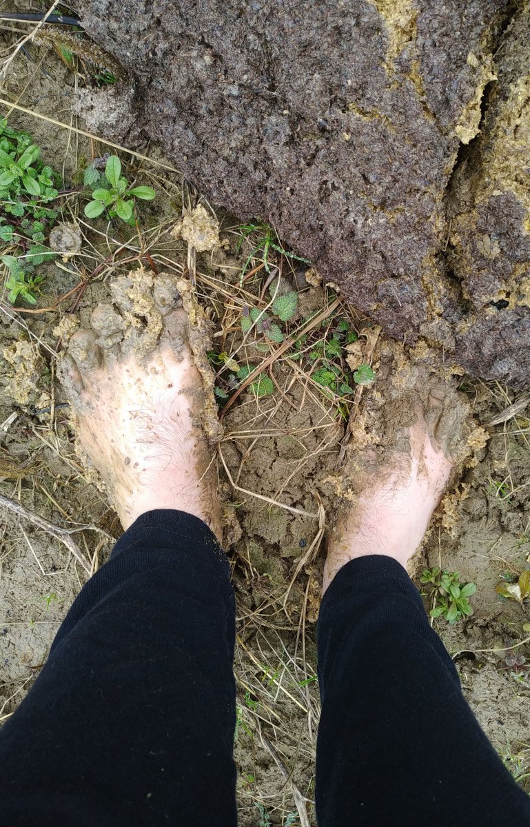 Barefoot in mud and manure | Hip Forums